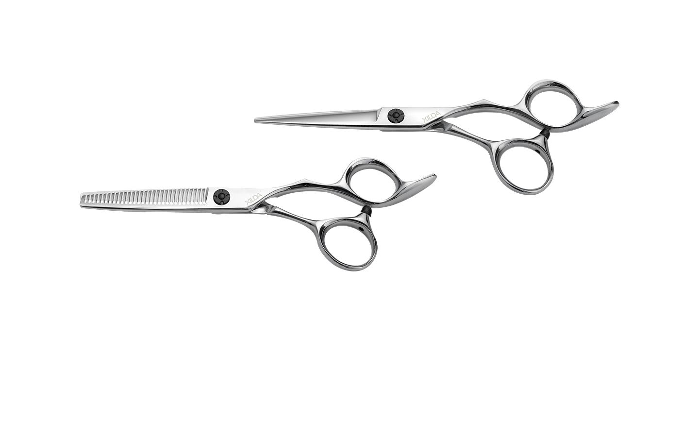Signature Series – XILDA